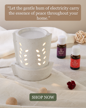 Electric Diffusers – Asian Aura